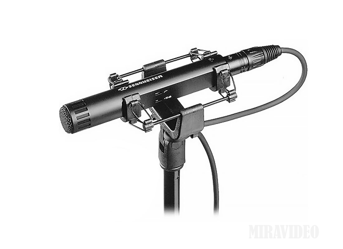 Sennheiser MKH 50-P48 | MIRAVIDEO
